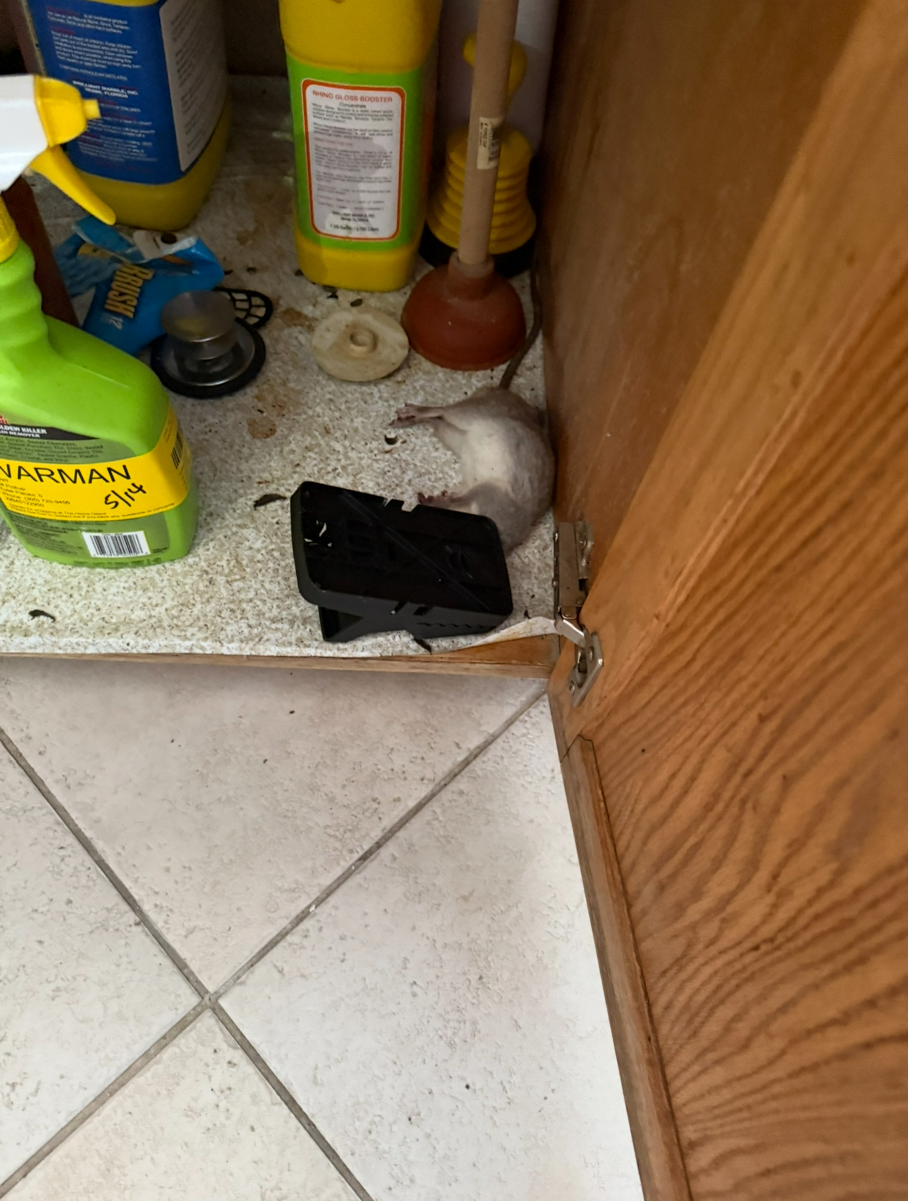 Fort Lauderdale Pest Control